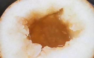 孕妇可以吃贝母蒸梨吗_贝母蒸梨对胎儿有影响吗