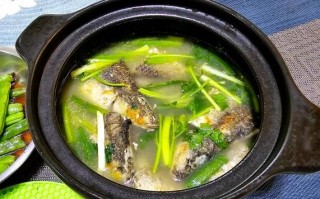 广东水鱼汤怎么做_水鱼汤去腥技巧