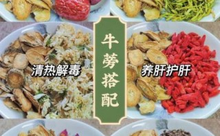 牛蒡根怎么吃最好_牛蒡根怎么吃最营养