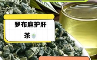 罗布麻降血压效果怎么样_罗布麻茶能长期喝吗