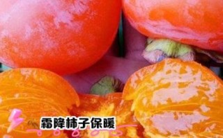 霜降吃什么_霜降节气传统食物
