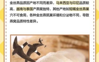 金丝燕燕窝有什么功效_金丝燕燕窝适合什么人吃