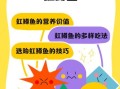 虹鳟鱼熬汤怎么做_虹鳟鱼汤去腥技巧