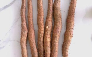 发芽的山药豆还能煮着吃吗_有毒吗