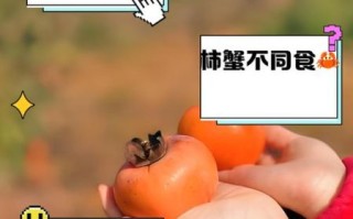 柿子不能和什么一起吃相克_吃柿子后多久能喝牛奶