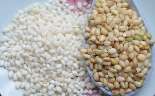 圆江米怎么做好吃_圆江米最简单的做法