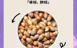 白果的药理作用有哪些_白果有哪些副作用