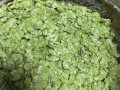 榆钱怎么做好吃又简单_榆钱的家常做法