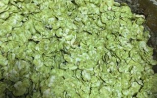 榆钱怎么做好吃又简单_榆钱的家常做法