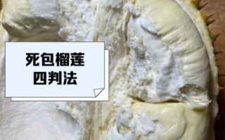 榴莲死包和生包的区别_如何辨别