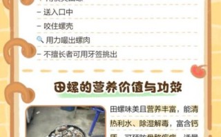 田螺吃什么_如何喂养