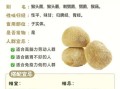 野生猴头菇的功效与作用_野生猴头菇怎么吃最好