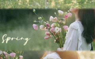 美美的图片高清_如何拍出高清美美照片