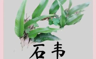 利尿最快的偏方_真的有用吗