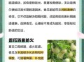 香瓜的功效与作用有哪些_香瓜的营养价值高吗