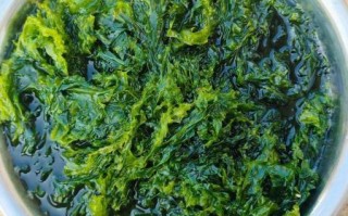 海菜怎么做好吃_海菜的营养价值有哪些