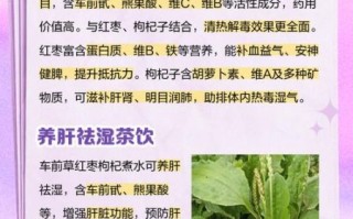 车前草怎么吃最好_车前草怎么吃最营养