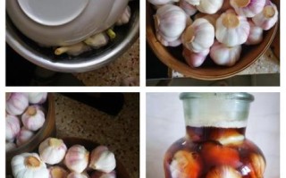 鲜蒜头怎么腌制好吃_家庭蒜泡多久能入味