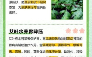 艾叶水能喝吗_艾叶水怎么喝才安全