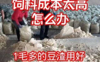 发酵豆渣的营养价值_如何科学食用