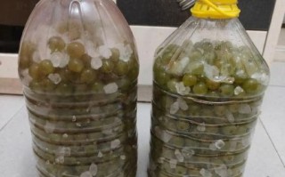 家庭自酿葡萄酒怎么做_自制葡萄酒需要哪些材料