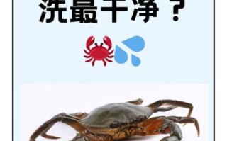 河蟹不清洗直接煮熟可以吗_河蟹不洗直接蒸会不会有寄生虫