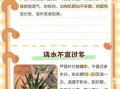 芦荟怎么养才能爆盆_芦荟养殖方法步骤