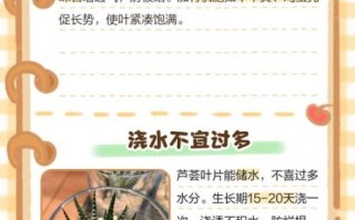 芦荟怎么养才能爆盆_芦荟养殖方法步骤