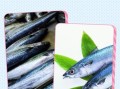 马鲛鱼和鲅鱼的区别_怎么一眼分辨