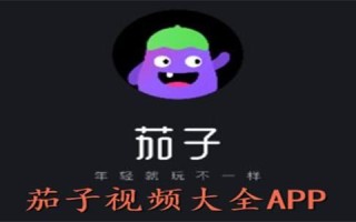 茄子视频app电脑在线看怎么用_茄子视频电脑版怎么下载
