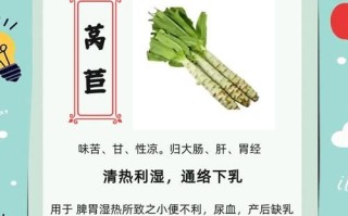 莴笋叶的营养价值_莴笋叶的功效与作用