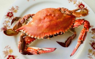 螃蟹怎么蒸好吃又简单_清蒸螃蟹步骤详解