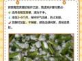 霉苋菜梗怎么做_霉苋菜梗要发酵多久