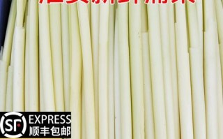 蒲笋怎么种_蒲笋生长周期多久