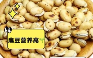 炒白扁豆的功效与作用_炒白扁豆的禁忌症有哪些