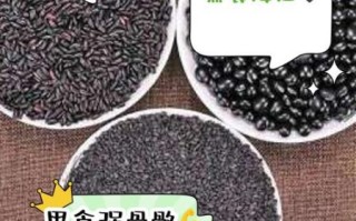 黑豆黑米黑芝麻一起吃有什么好处_如何吃才有效