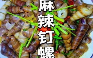钉螺怎么做好吃_钉螺的家常做法