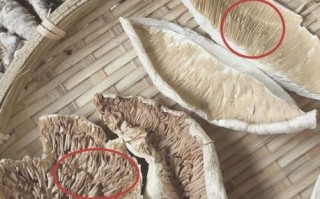 松茸变质什么样子_如何辨别还能不能吃