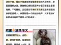 变蛋的功效与作用_变蛋吃多了有什么危害
