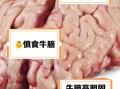 牛脑能吃吗_牛脑怎么吃才安全