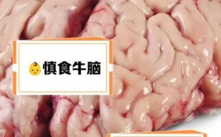 牛脑能吃吗_牛脑怎么吃才安全