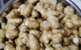 鬼子姜怎么腌制_鬼子姜腌制方法大全