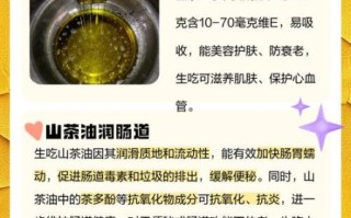 山茶油怎么吃最好_孕妇能吃吗