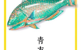 青衣鱼有毒吗_青衣鱼食用安全指南