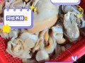 河蚌哪些部位能吃_河蚌不能吃的部位图解