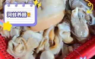 河蚌哪些部位能吃_河蚌不能吃的部位图解