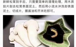 新鲜松茸怎么吃_新鲜松茸的做法大全