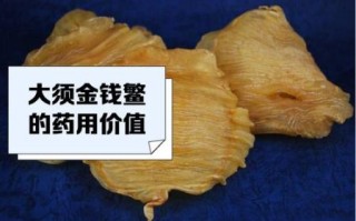 鳘鱼胶的功效与作用_鳘鱼胶多少钱一斤