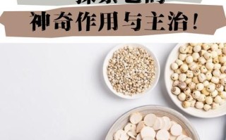 茯神的功效与作用及禁忌_茯神适合哪些人吃