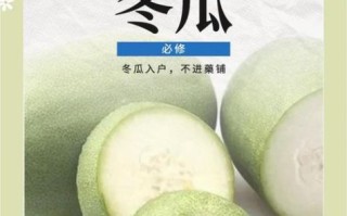 冬瓜减肥能吃吗_冬瓜热量高吗